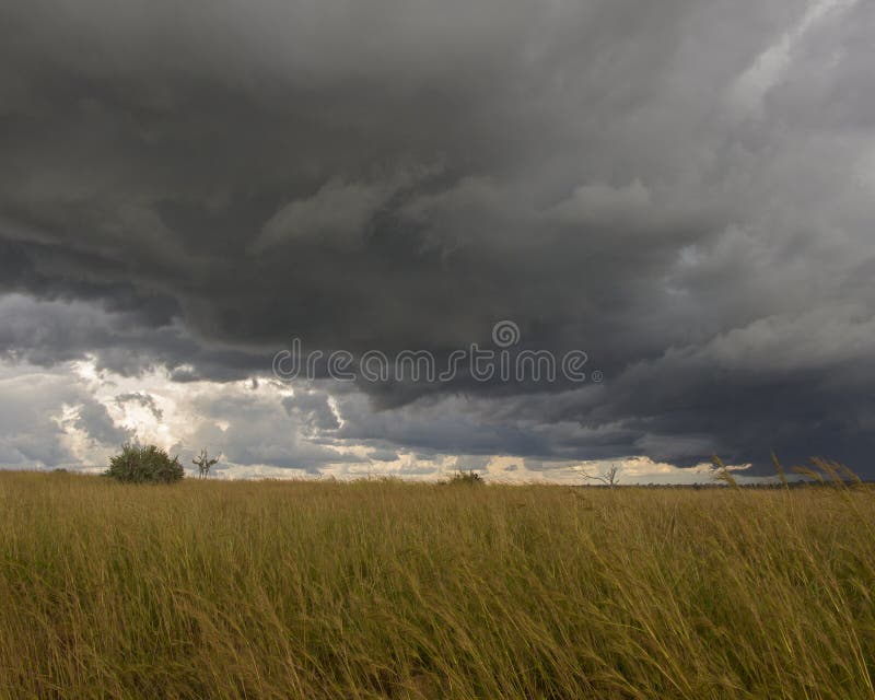 Storm Clouds Rolling Over Fields Stock Photo - Image of uganda, clouds ...
