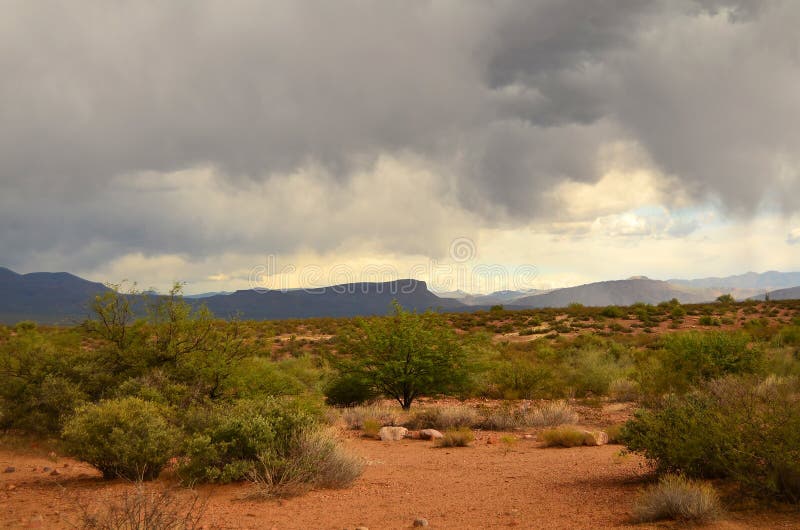 Storm Clouds Sonora Desert Arizona Stock Image - Image of desert, black ...