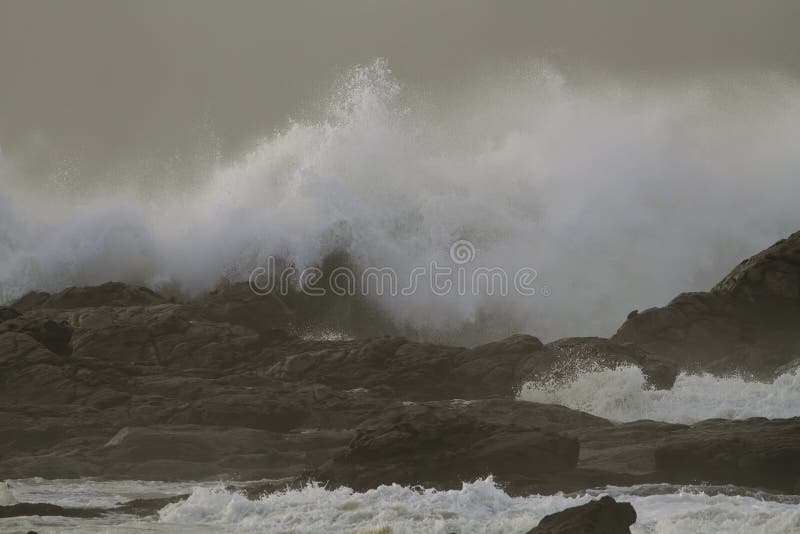 Storm on the coast stock image. Image of nature, high - 206510697