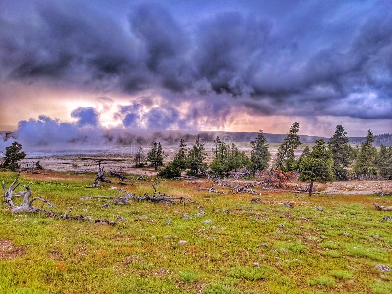 Storm of color stock photo. Image of plant, grassland - 226671850