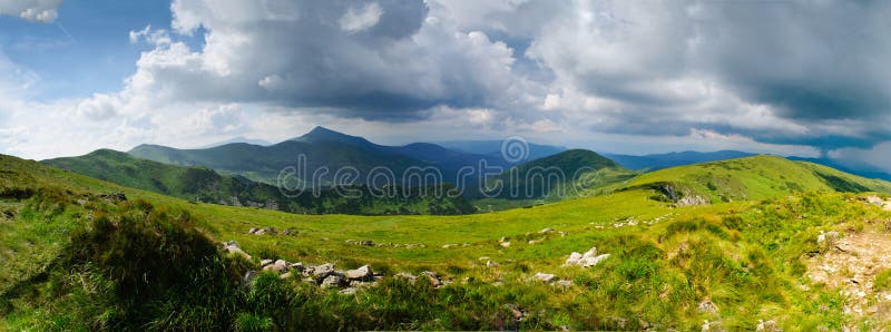 Storm is coming stock photo. Image of hurricane, forest - 15503320