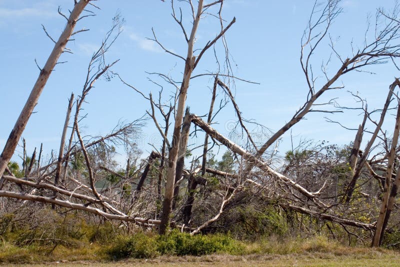 497 Wind Gust Damage Stock Photos - Free & Royalty-Free Stock Photos ...