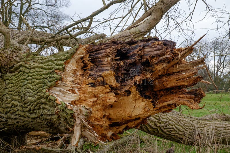 Storm damage stock image. Image of outdoor, caused, environment - 89196069