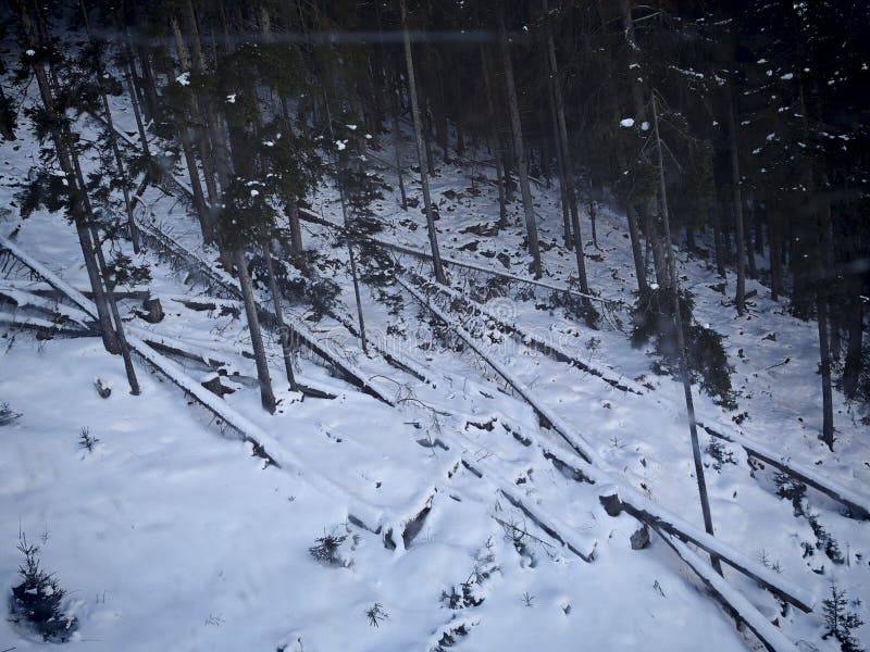 Storm Damage after a Severe Storm Stock Photo - Image of damage ...
