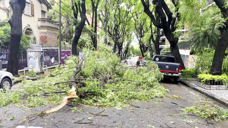Storm Damage To Trees and Nature, Causing Broken Trunks and Fallen ...