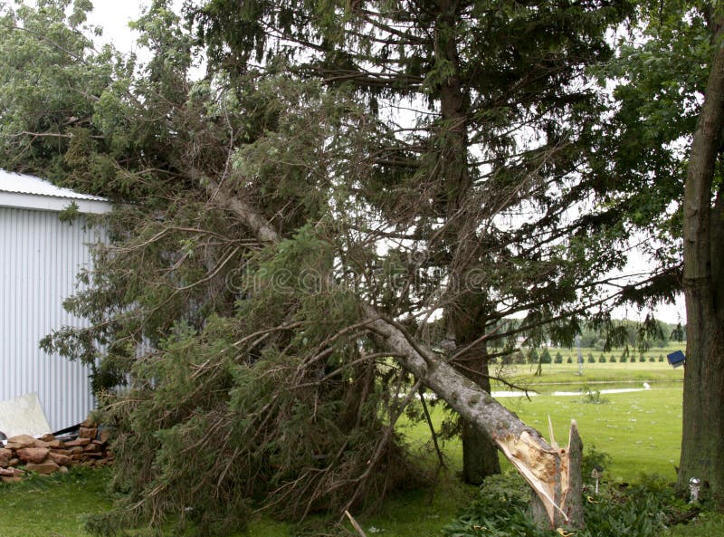 Storm Damaged Tree and Building Stock Photo - Image of damage, fallen ...