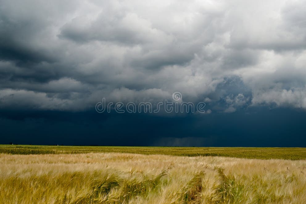 Storm Dark Clouds Over Field Stock Image - Image of landscape, plain ...