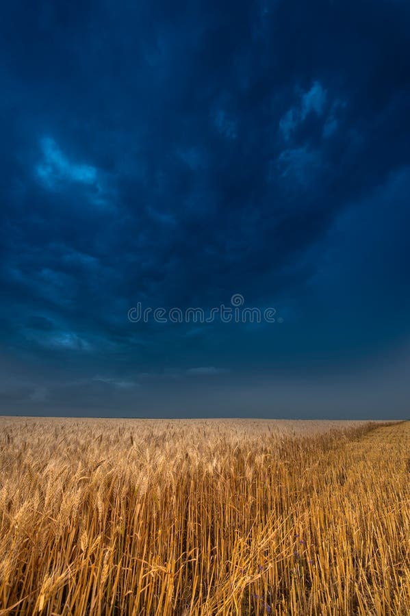 Storm Dark Clouds Over Field Stock Image - Image of landscape, plain ...