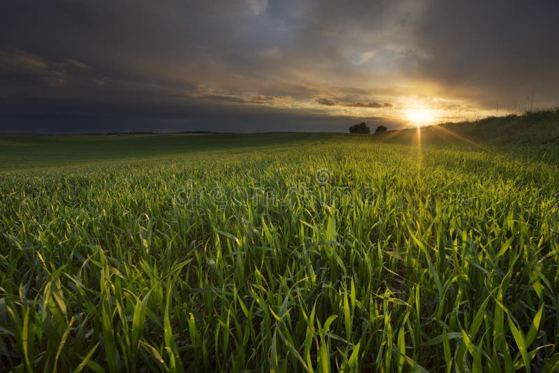 Storm Dark Clouds Over Field Stock Image - Image of spring, road: 72557567