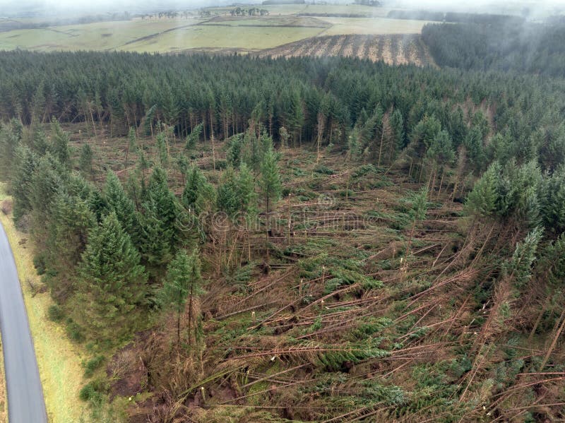 Storm Darragh in South Wales Stock Image - Image of countryside ...