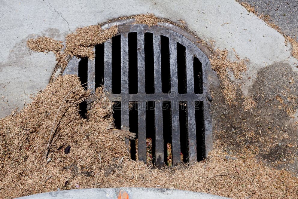 Storm Drain with Debris stock image. Image of leaf, rain - 85713911