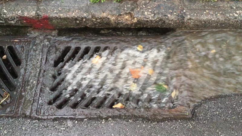 Storm drain street gutter stock video. Video of flood - 79375787