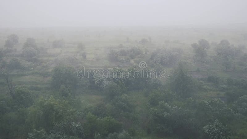 The Storm and Extremely Heavy Rain are Bending Trees. Very Bad Weather ...