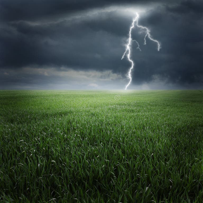 Storm on the field II stock image. Image of weather, grain - 18779069
