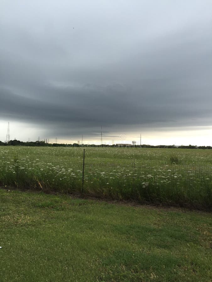 Storm on the field II stock image. Image of weather, grain - 18779069
