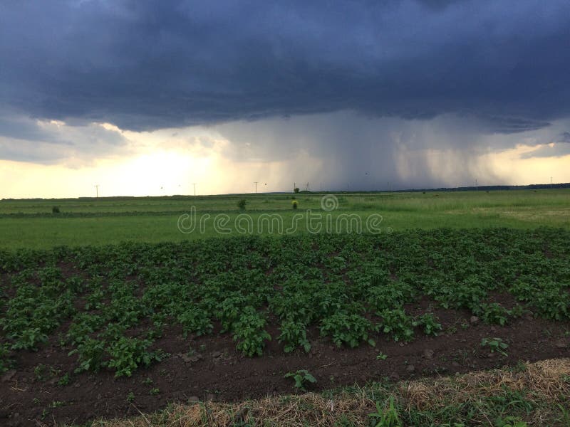 Storm editorial stock photo. Image of umbrella, heavy - 55775958