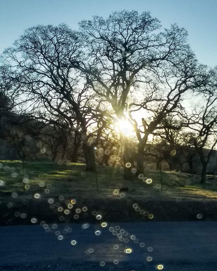 After the Storm Light always Shines Stock Image - Image of nature ...