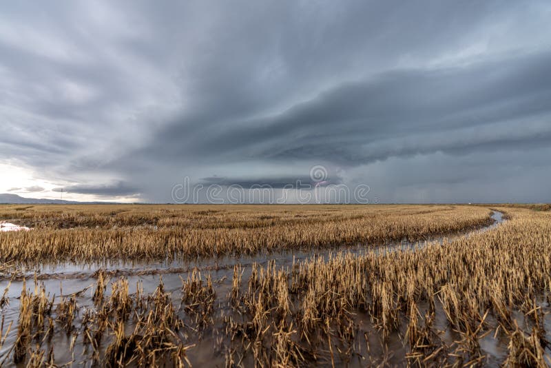 Lightning Over the Flooded Rice Fields in Valencia Stock Image - Image ...