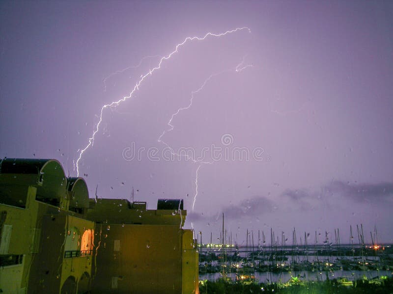 Llam Stock Photos - Free & Royalty-Free Stock Photos from Dreamstime