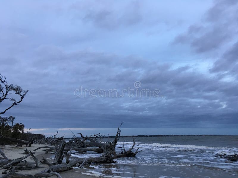 Storm over the beach stock photo. Image of driftwood - 91024404
