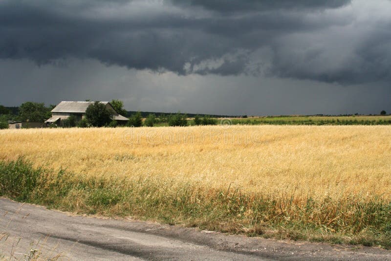 Storm over the field stock image. Image of agriculture - 178877