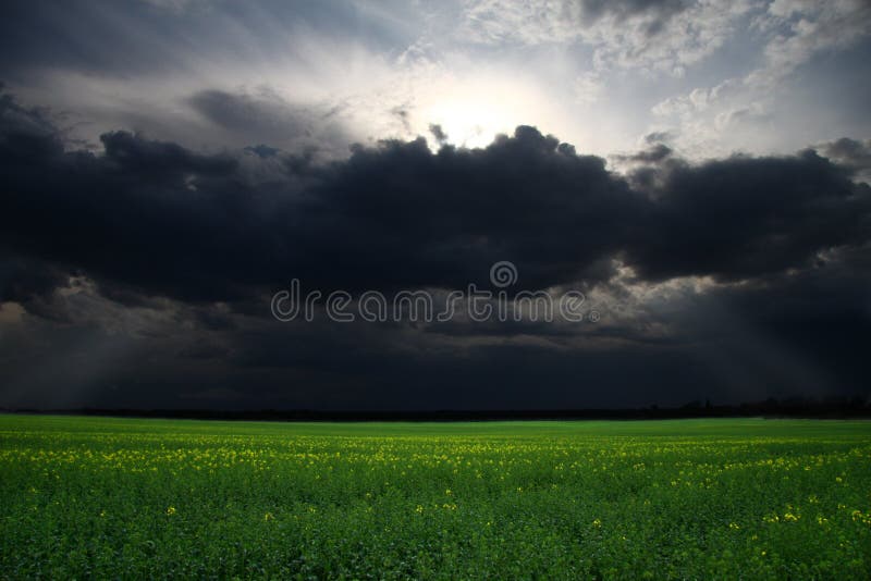 Storm over the field stock photo. Image of perfect, cold - 6649884