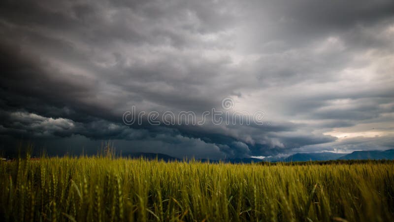 Storm over the fields stock image. Image of cloud, cloudy - 73427785
