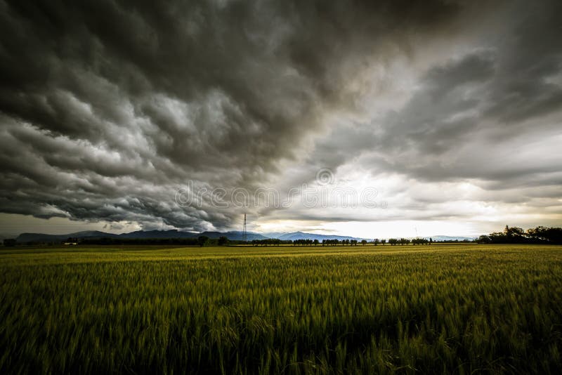 Storm over the fields stock photo. Image of dark, land - 76054318