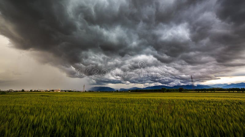 Storm over the fields stock photo. Image of dark, dramatic - 77389344