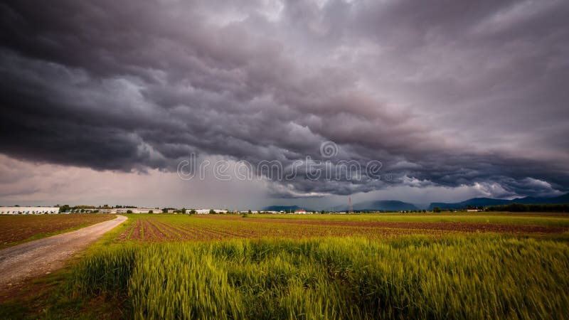 Storm over the fields stock image. Image of friuli, grass - 77760709