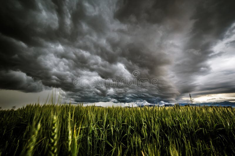 Storm over the fields stock photo. Image of grass, light - 79181894
