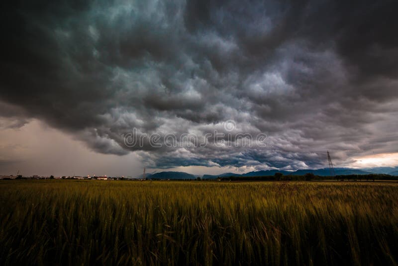 Storm over the fields stock photo. Image of pasture, outdoor - 83040308