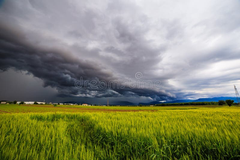 Storm over the fields stock photo. Image of perspective - 87268178