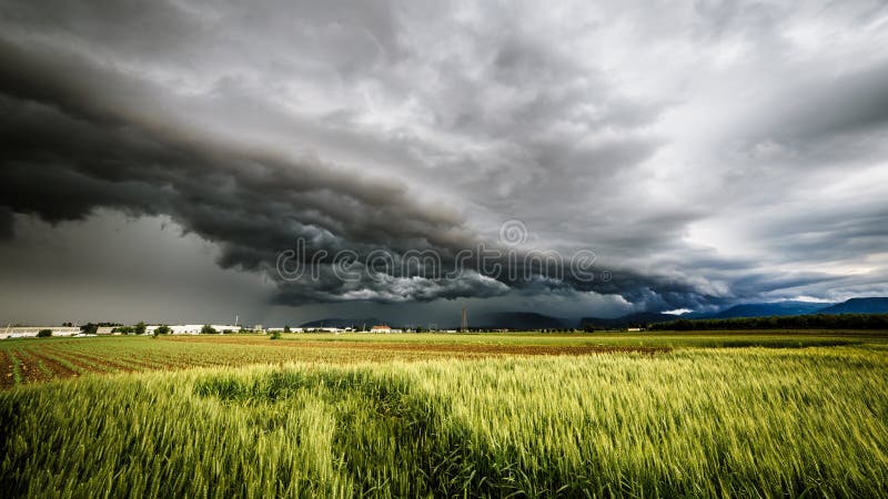 Storm over the fields stock photo. Image of pasture, giulia - 90548060