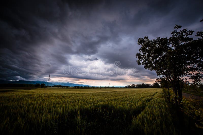 Storm over the fields stock photo. Image of lightning - 107607982