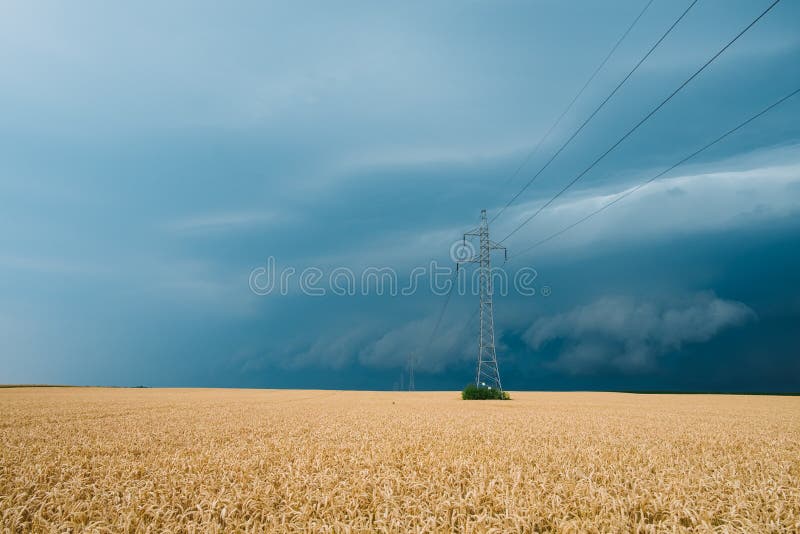 Storm over the wheat field stock photo. Image of climate - 132689230
