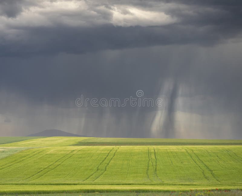 A Storm with Pouring Clouds Approaching the Green Meadows Adorned Stock ...