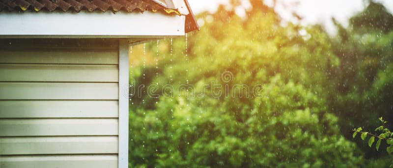 3,818 Sad Roof Stock Photos - Free & Royalty-Free Stock Photos from ...