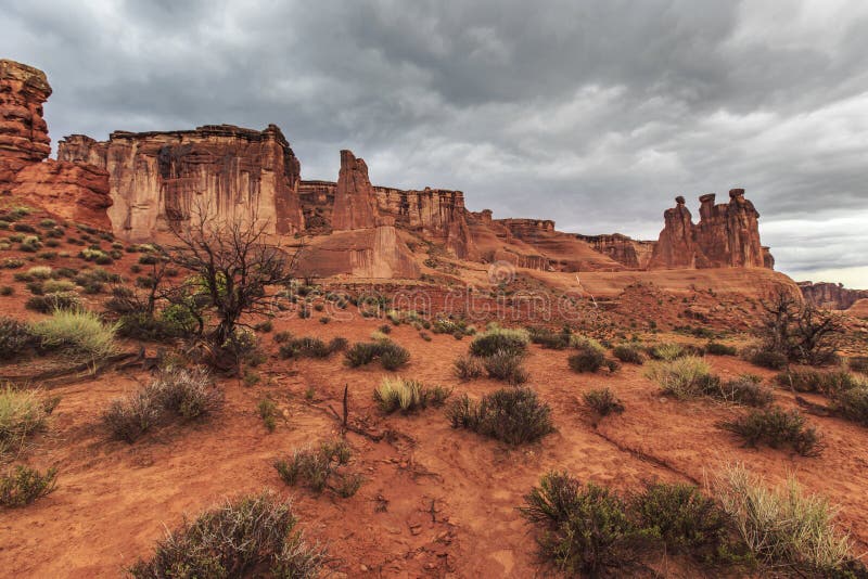 Storm, Rain and Flash Flood in American Desert Stock Image - Image of ...