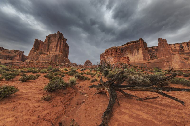 Storm, Rain and Flash Flood in American Desert Stock Image - Image of ...
