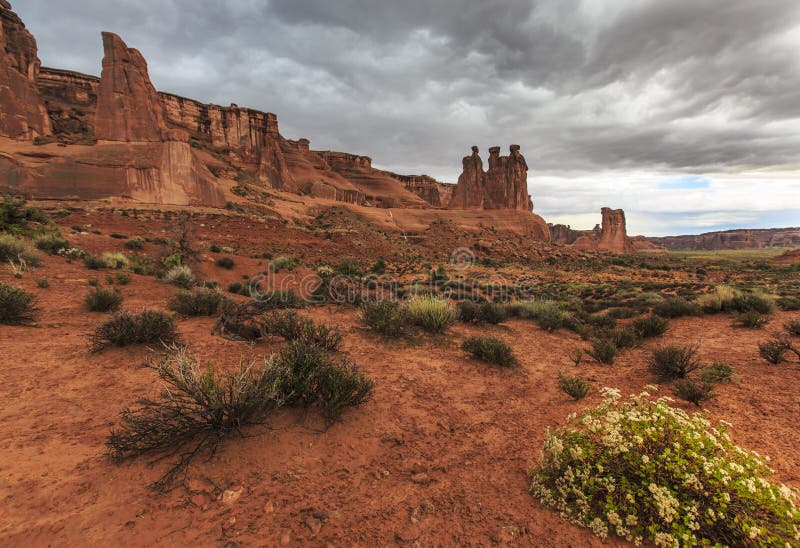 Storm, Rain and Flash Flood in American Desert Stock Image - Image of ...