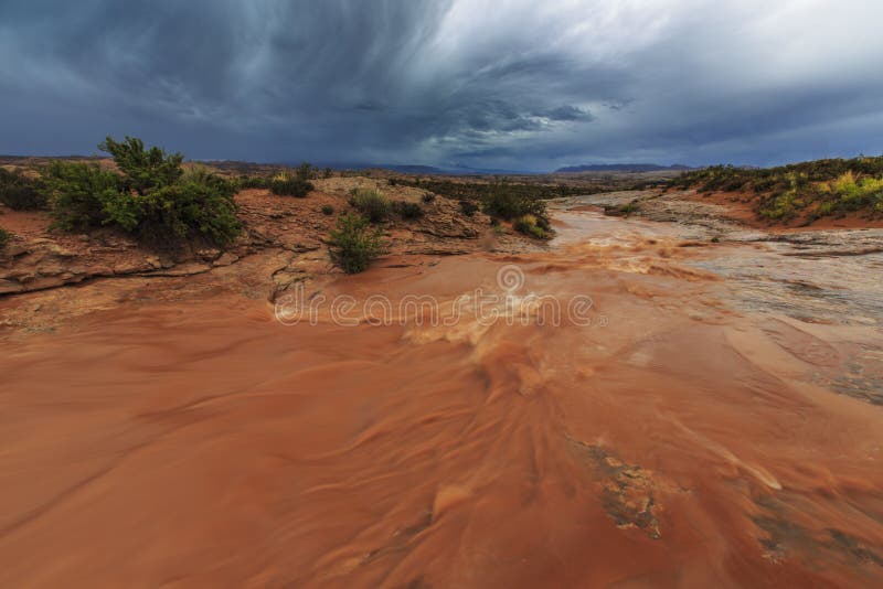 Storm, Rain and Flash Flood in American Desert Stock Image - Image of ...