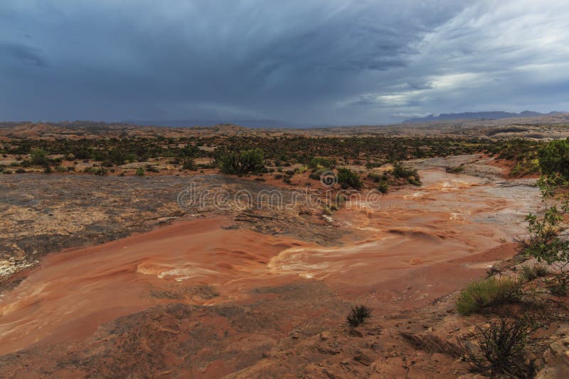 Storm, Rain and Flash Flood in American Desert Stock Image - Image of ...