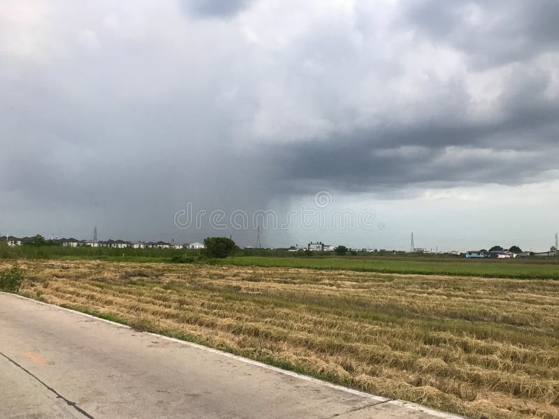 Storm Raining and Rice Field Stock Image - Image of dark, color: 107654683