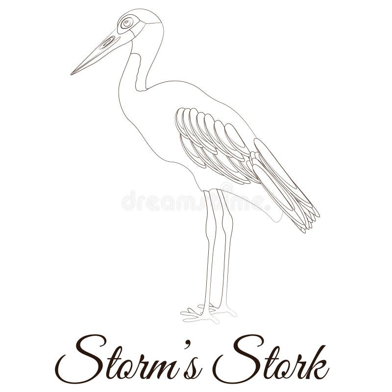 Storm`s Stork Cartoon Bird Coloring Stock Vector - Illustration of ...