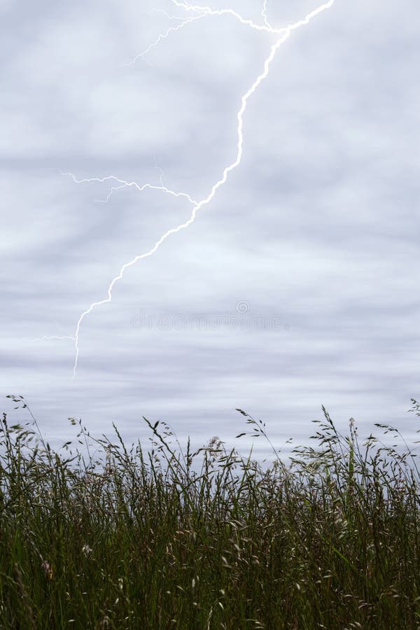 Storm Sky with Lighting Over Tall Grass Stock Photo - Image of dark ...