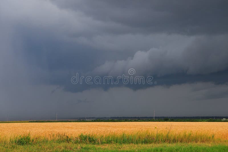 The Storm Sky Over the Yellow Fields in Buzau County,Romania Stock ...