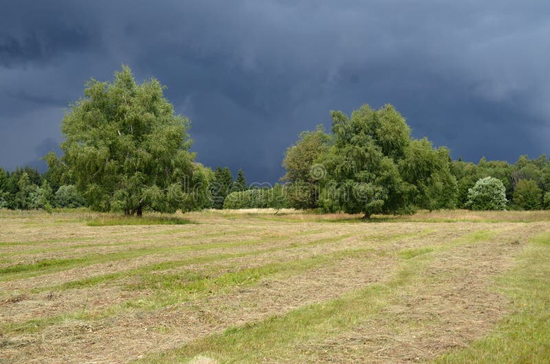 Views of the Summer Landscape with the Approaching Storm, Stock Image ...