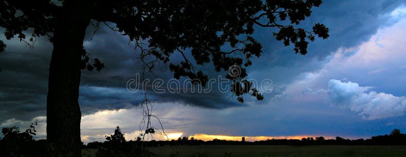 Storm Tree stock photo. Image of dusk, gloom, leaf, weather - 170648