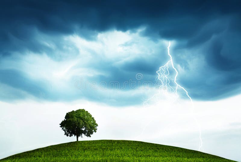 Storm and tree stock image. Image of meadow, cloudburst - 20654553